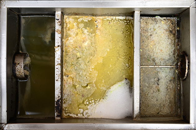 Can you pour cooking oil down the drain? - Rebirth Biofuels